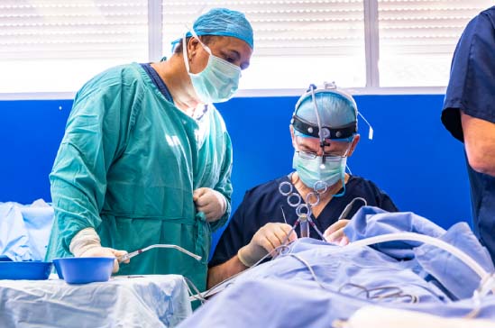 Our Doctors - Port Elizabeth Eye and Laser Institute